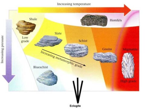 Metamorphic Agents and Changes | Gelogia