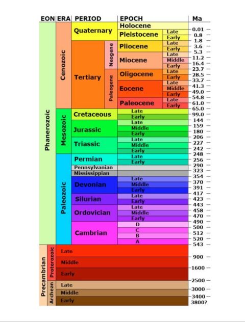 Geological Time Scale | Gelogia