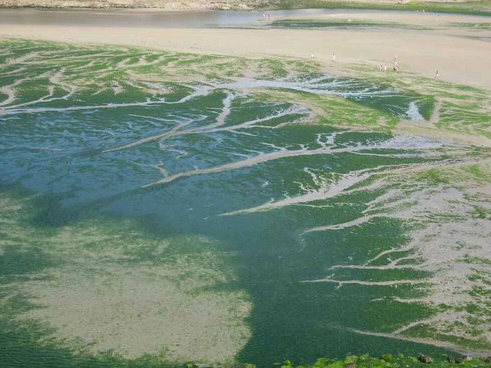 Types of Drainage Pattern