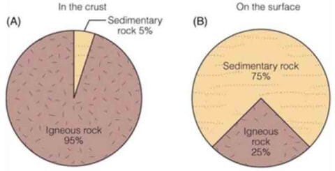 Sedimentary Rock Types: Formation, Structures, and Classification
