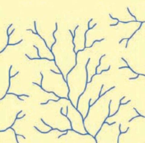 Types of Drainage Pattern