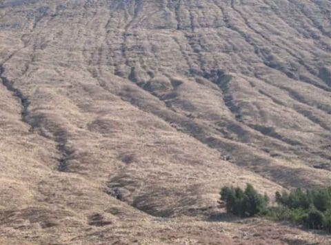 Types of Drainage Pattern