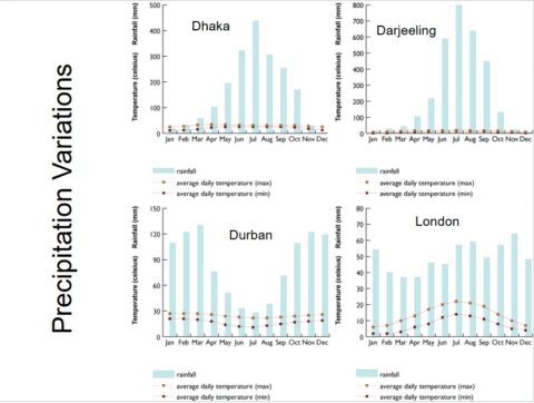 Precipitation: Types, Formation, Measurement, and Variations
