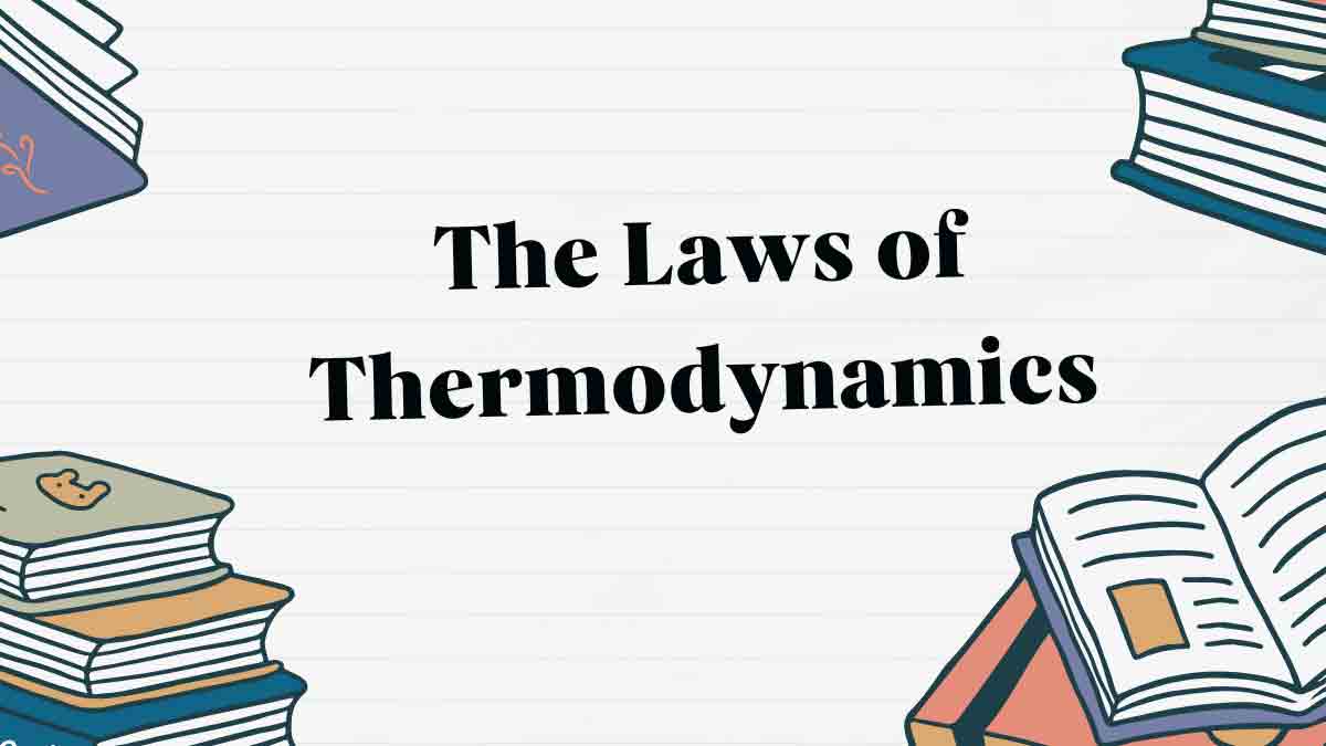 Laws Of Thermodynamics A Deep Dive Into The Zeroth Law Of