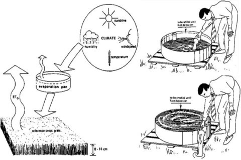 Evaporation: A Vital Process in Nature and Everyday Life
