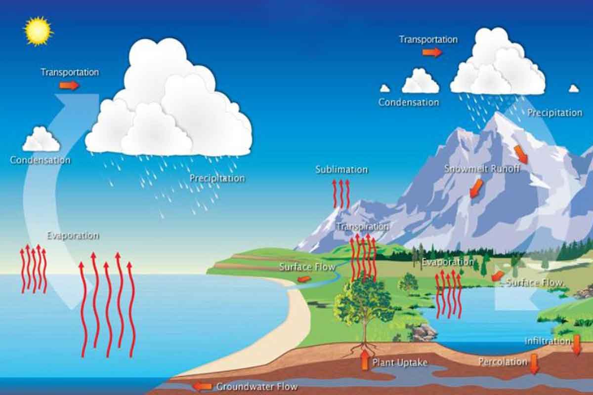Precipitation: Types, Formation, Measurement, and Variations