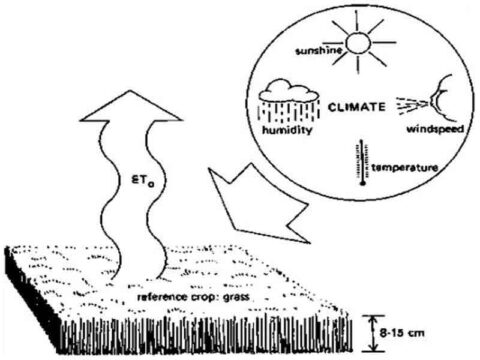 Evaporation: A Vital Process in Nature and Everyday Life