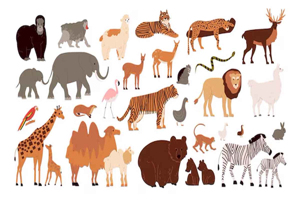 Mammals: Insights Into Their History, Features, and Conservation