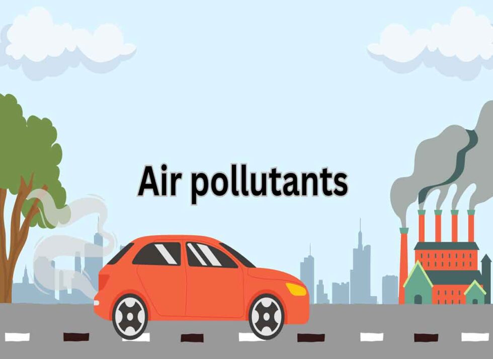 The Global Impact of Air Pollutants on the Atmosphere