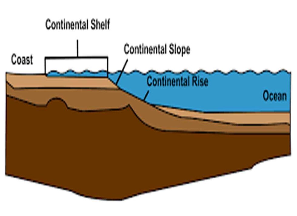 Continental Margin: Definition, Types, and Key Features