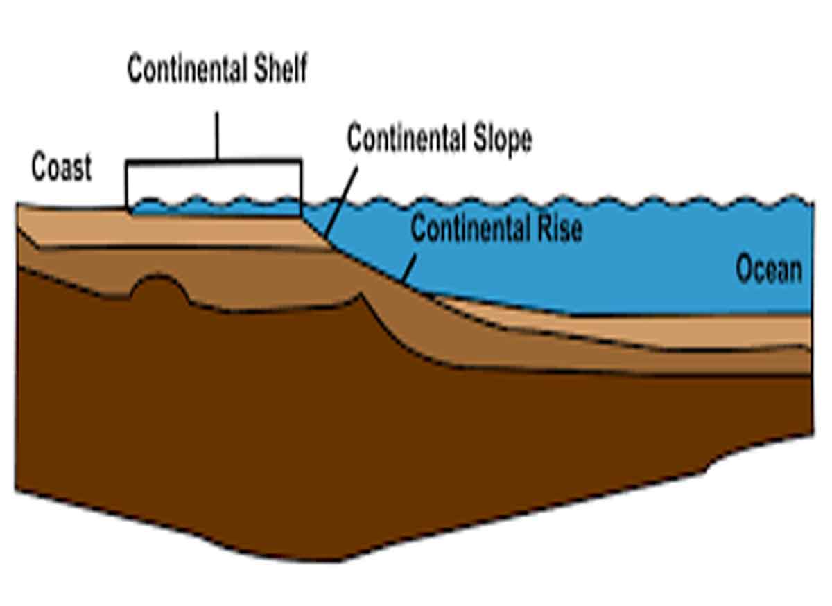 Continental Margin: Definition, Types, and Key Features