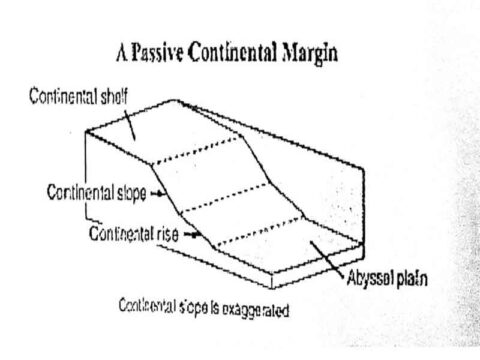 Continental Margin: Definition, Types, and Key Features