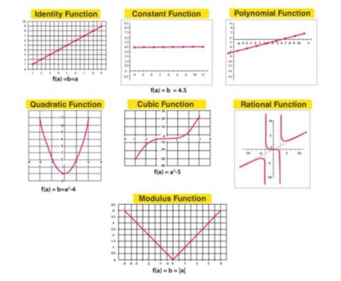 What Are the Types of Function? Definitions and Examples