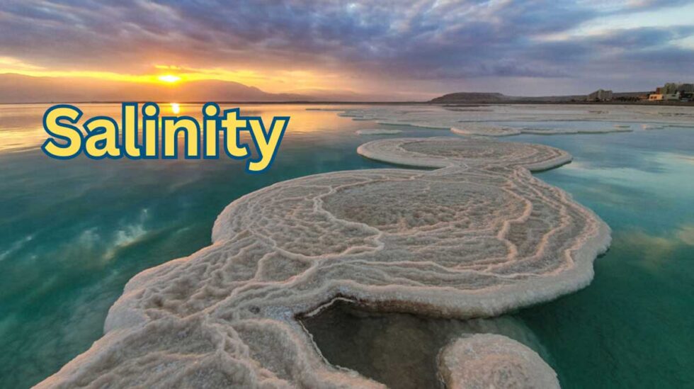 Salinity: Definition, Effects, and Importance