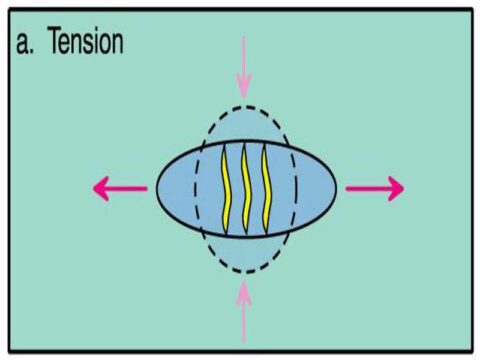 Types of Deviatoric Stress
