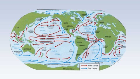 What Are the Types of Oceanic Gyres? Explained Simply