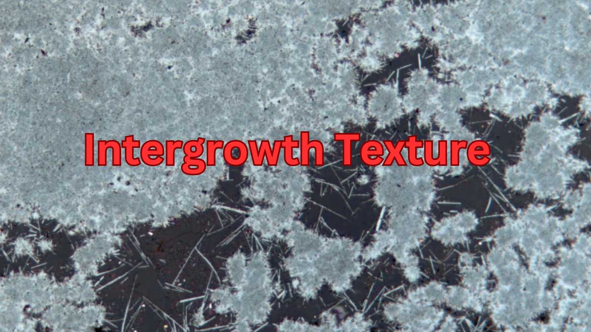 Intergrowth Texture and Its Common Types