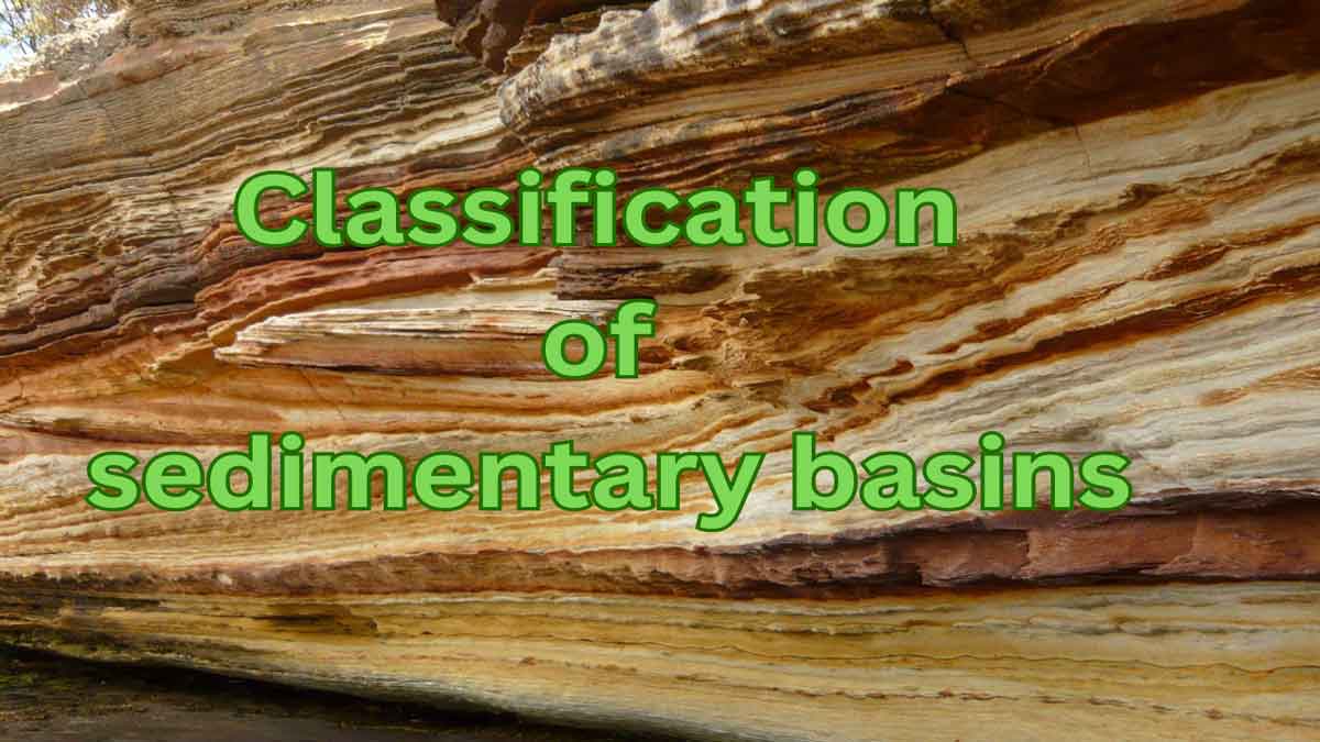 What Are Microfossils? Their Groups and Importance