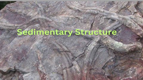 Sedimentary Structure: Classification and Development Explained