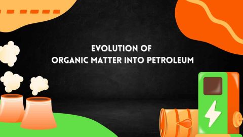 Evolution of organic matter into petroleum
