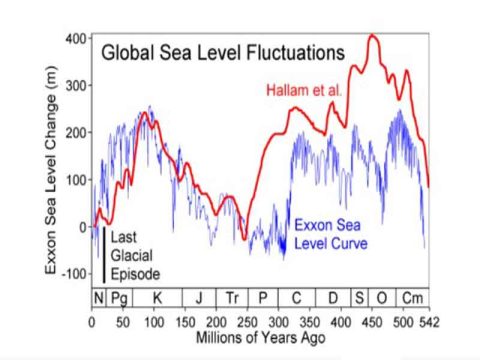 Sea level changes in the geologic past