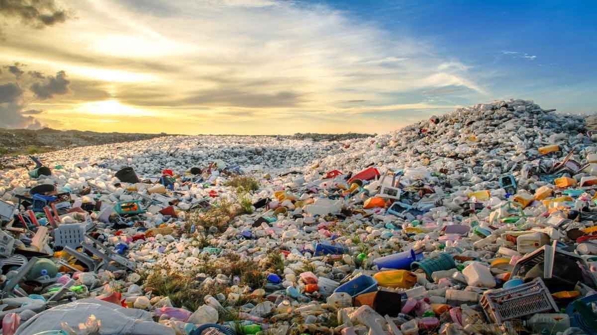 Infiltration: The Key to Sustainable Water Management