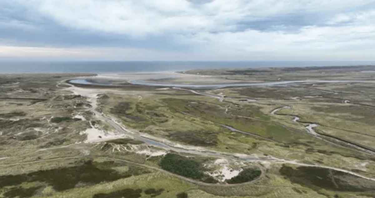 Coastal Plain: Definition and Subdivisions