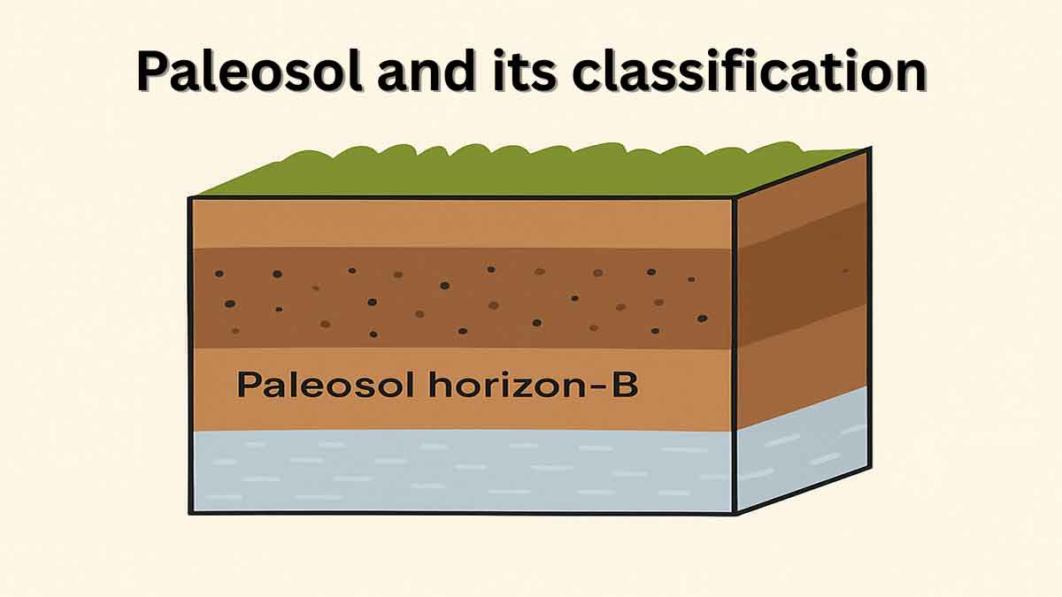 Permeability: Definition, Types, and Measurement