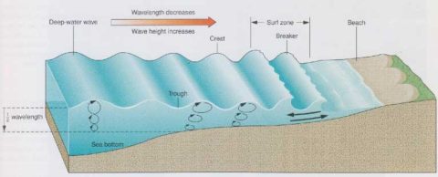 Water Waves: Motion, Types, and Surf Zone Dynamics