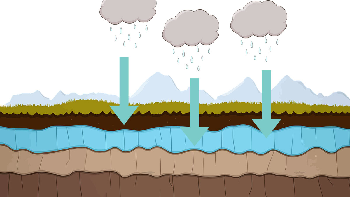 Infiltration: The Key to Sustainable Water Management